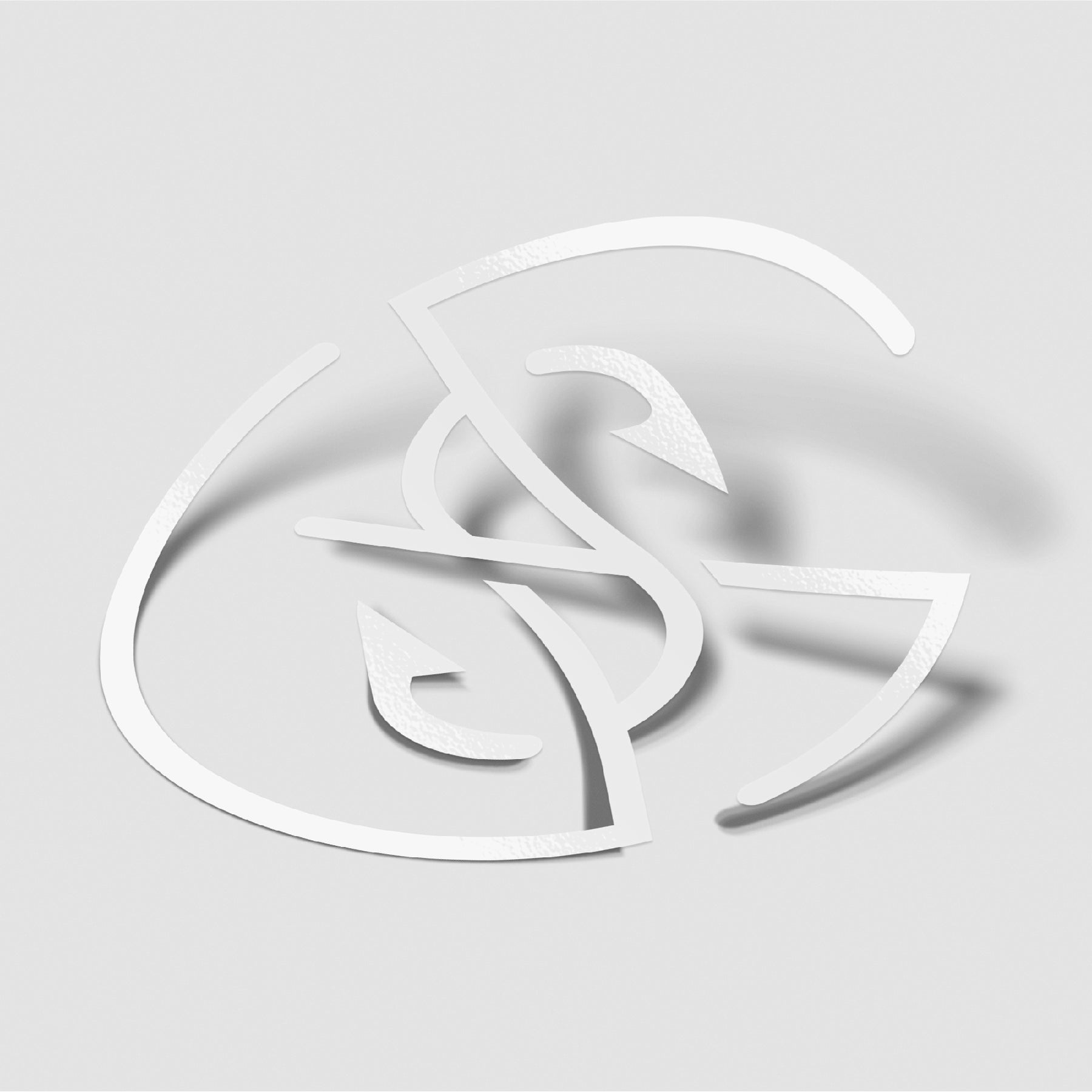 GS Decal 4" – Googan Squad