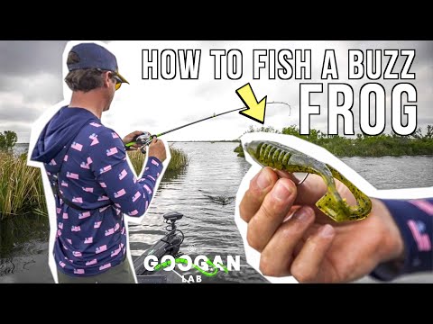 Googan Squad Explode Toad – Topwater toad bait